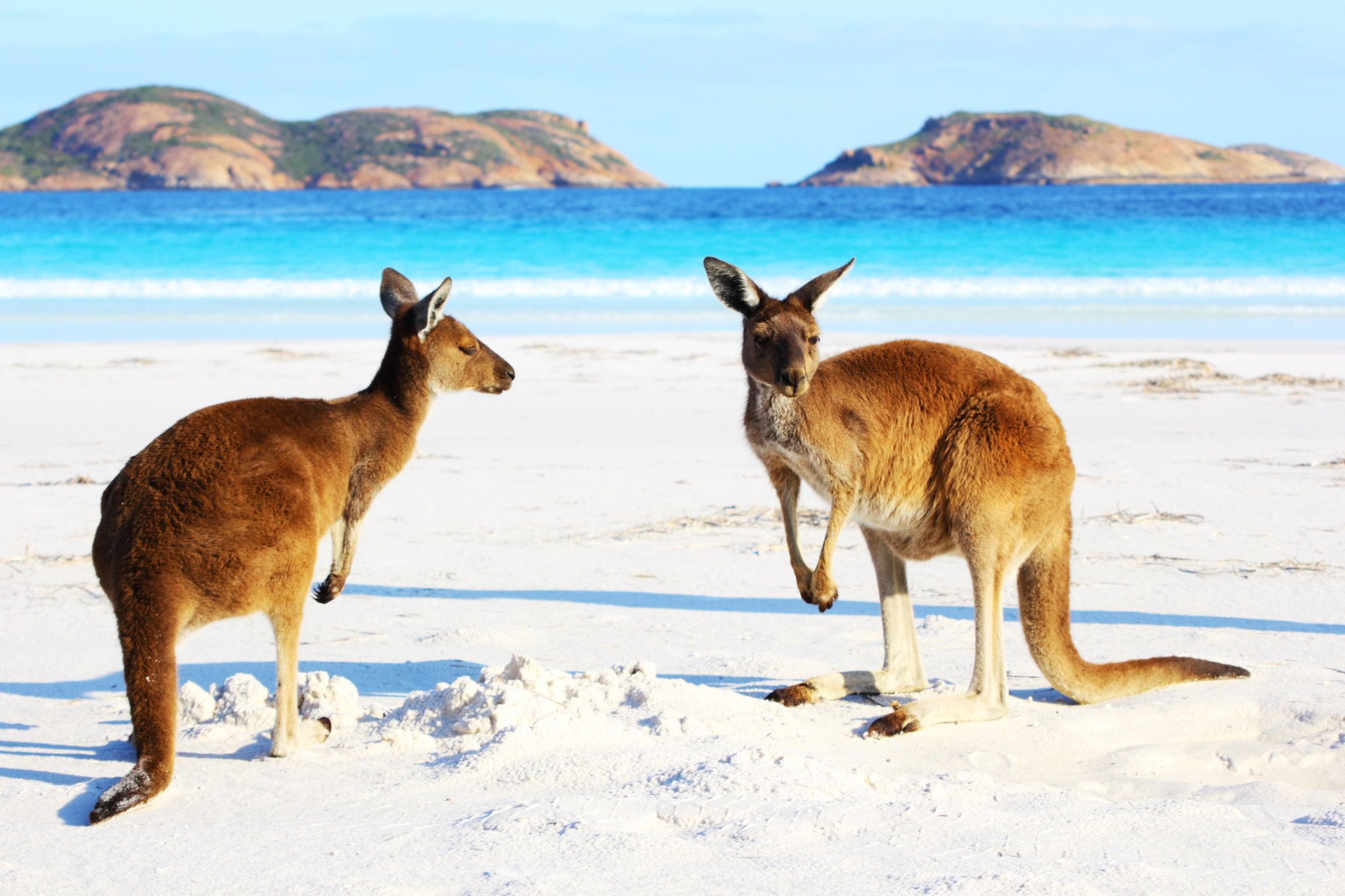 Die besten Reiseziele in Australien - der ultimative Guide für Down Under