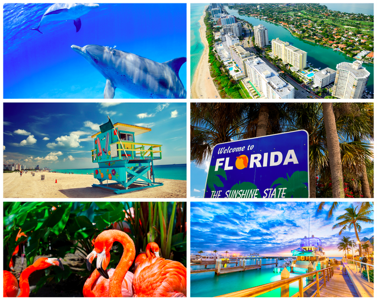 Fly & Drive Florida - 8 Tage inkl Flug & Mietwagen - 292€