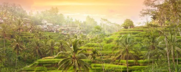 Urlaubsschnäppchen & Reisedeals günstig buchen | Reiseuhu