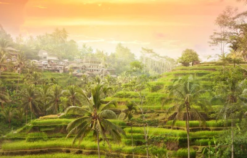 Urlaub auf Bali - Traumziel, Reiseinspiration, Tipps und Reiseführer